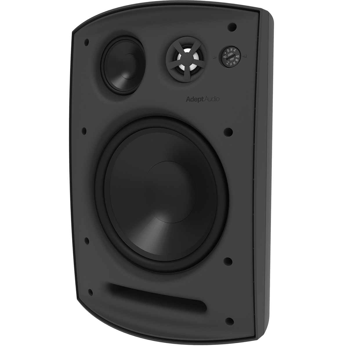 Adept Audio IO80 - Adept Audio